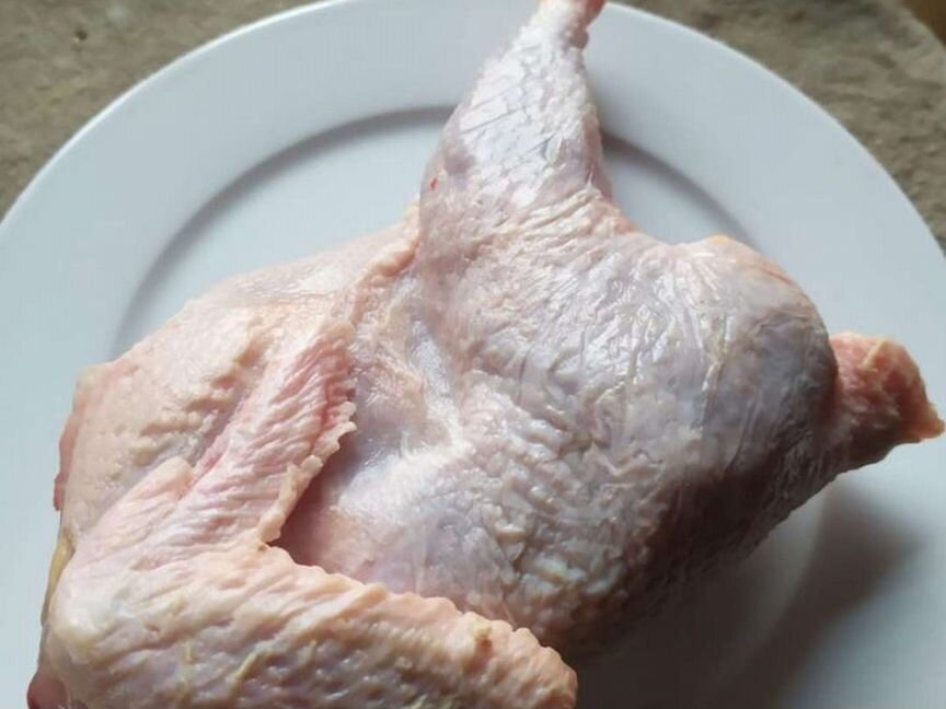 Куры суповые для животных