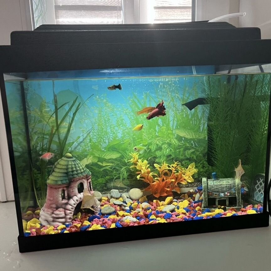 Аквариум 30 литров