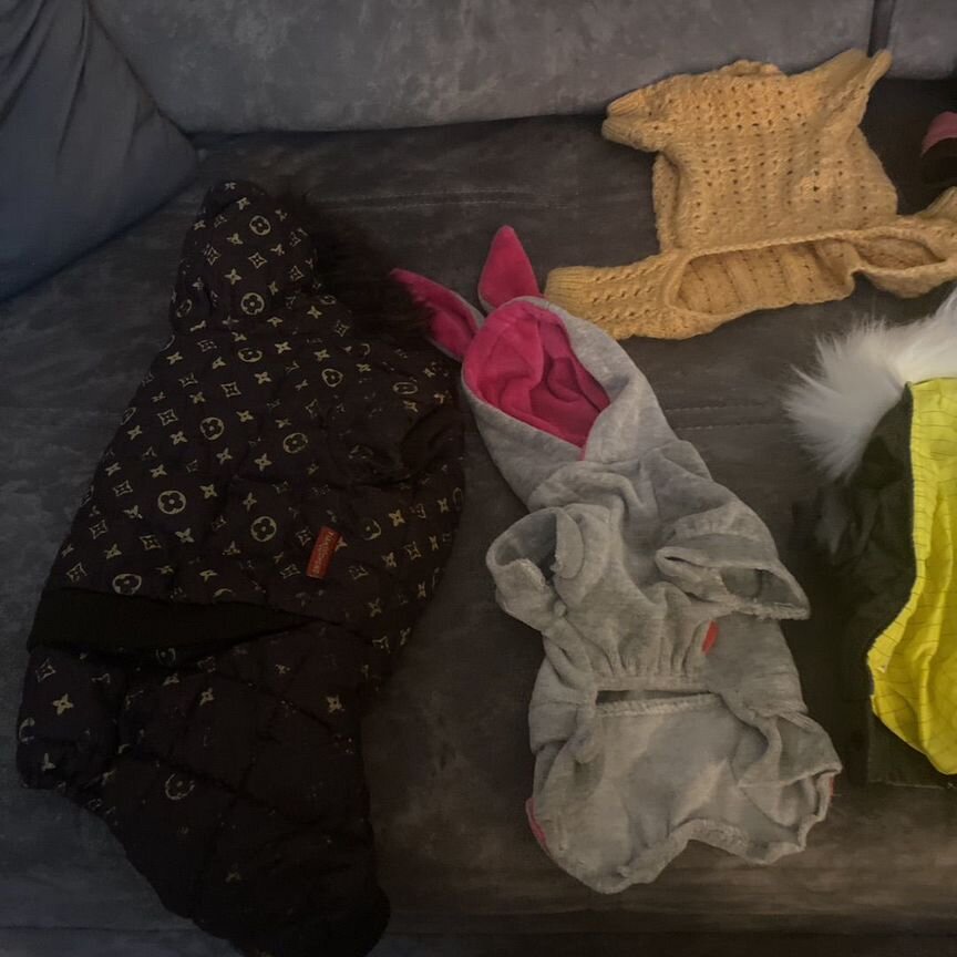 Одежда для маленьких собак