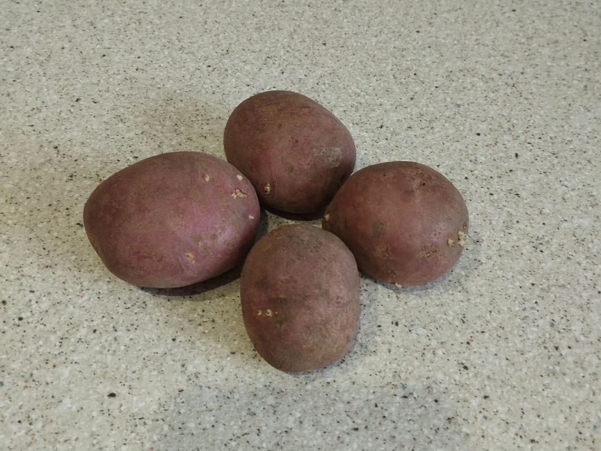 Продам картофель мелкий