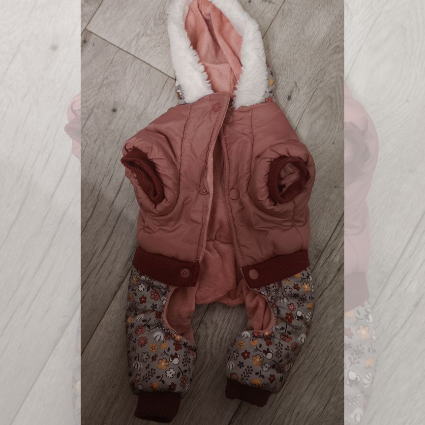 Одежда для собак мелких пород зима девочка