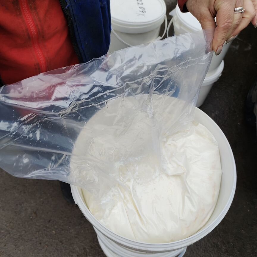 Корм для свиней