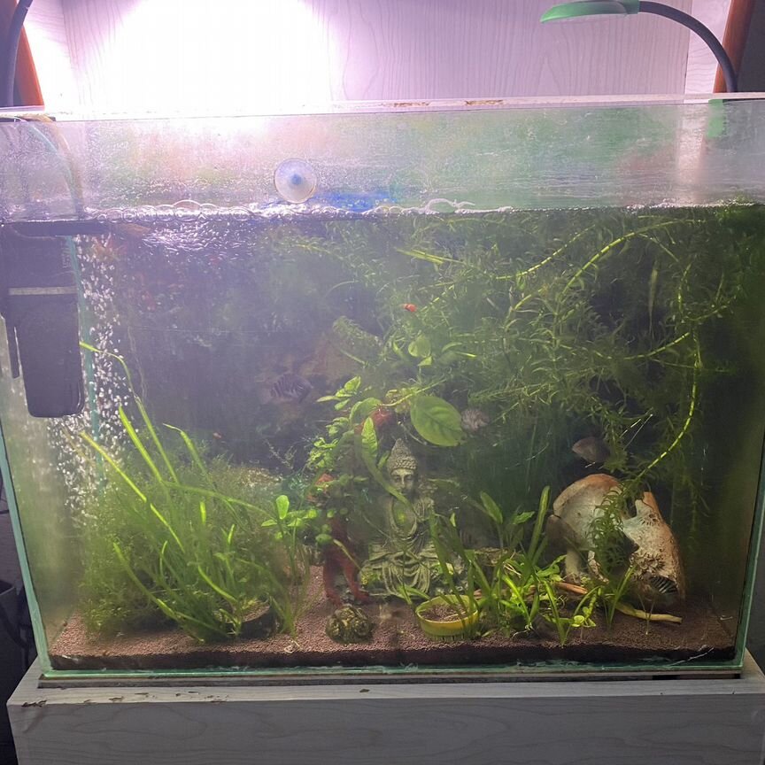 Аквариум с тумбой