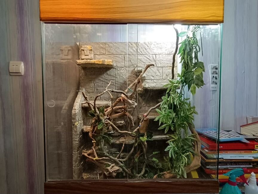 Террариум для хамелеона