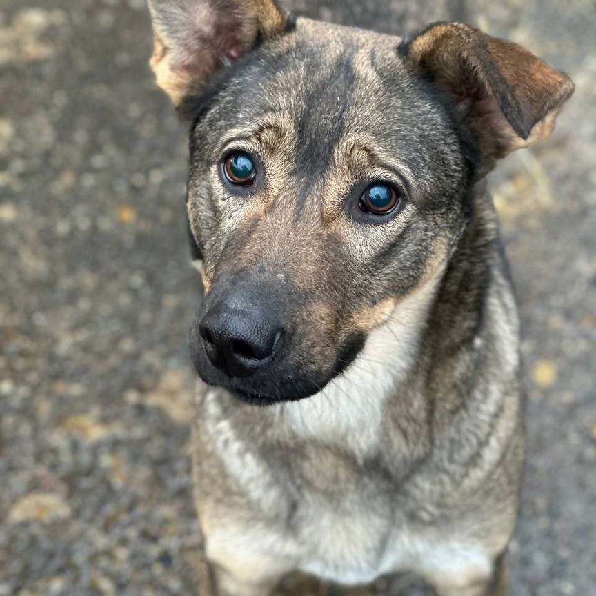 Лили верит, что станет домашней