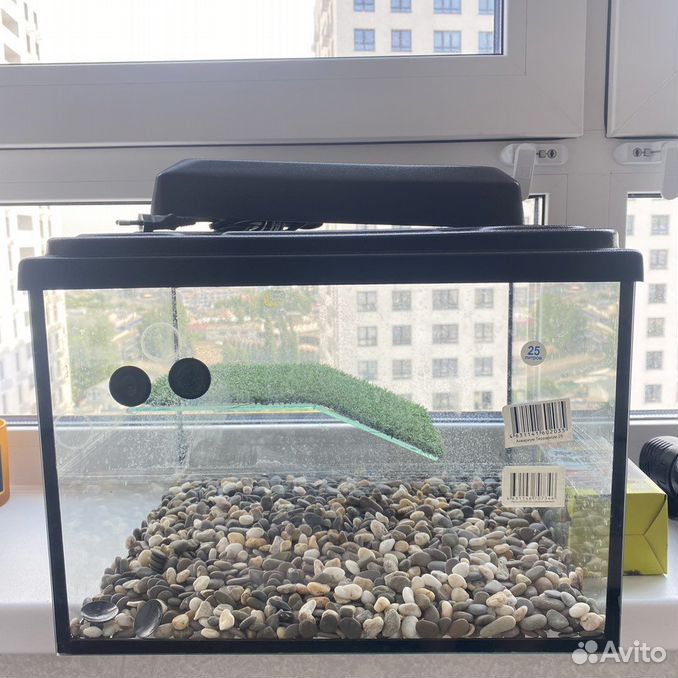 Аквариум терариум