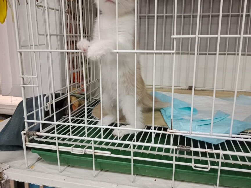 Сашок 2 мес