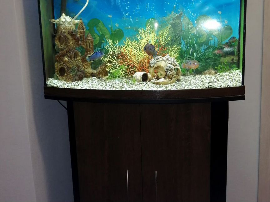 Аквариум понарамный на тумбе 100 л