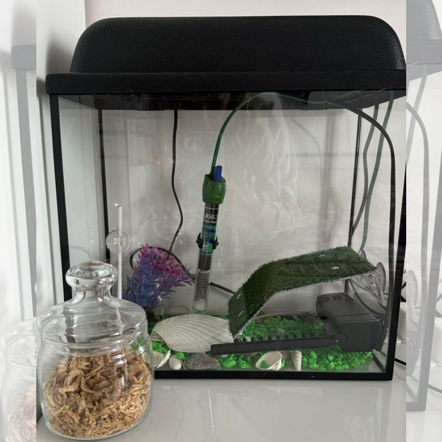 Аквариум для морской черепашки