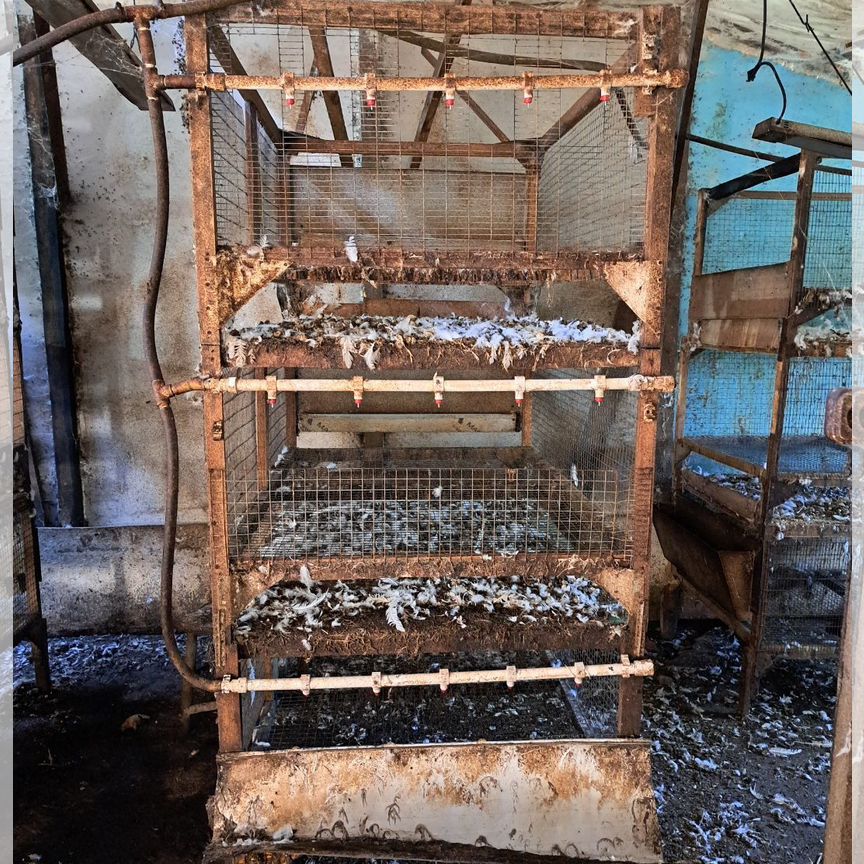 Клетки для птиц