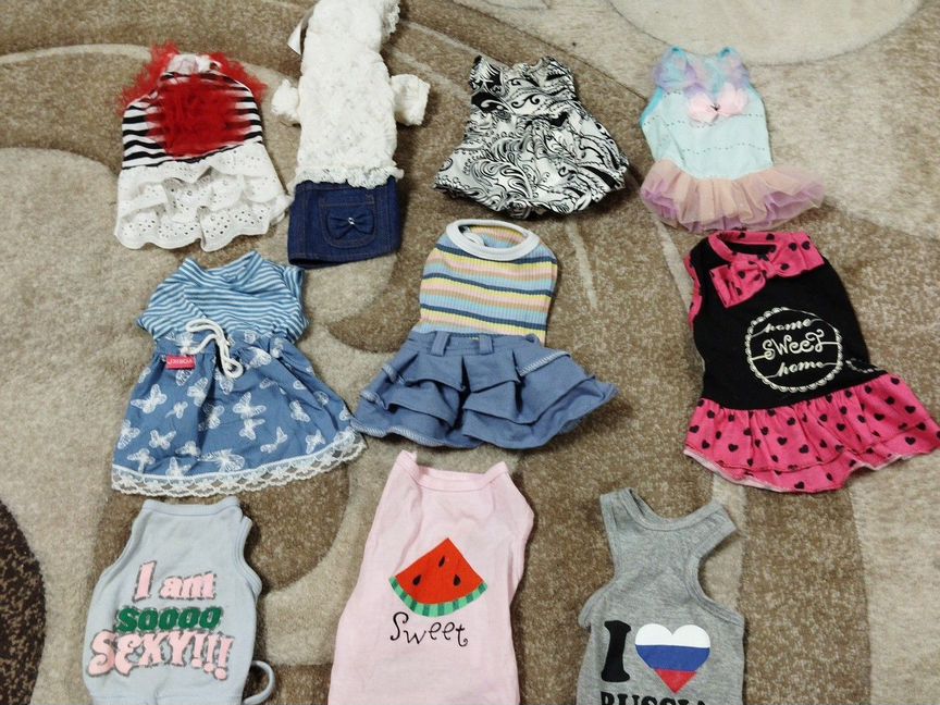 Одежда для маленькой собачки