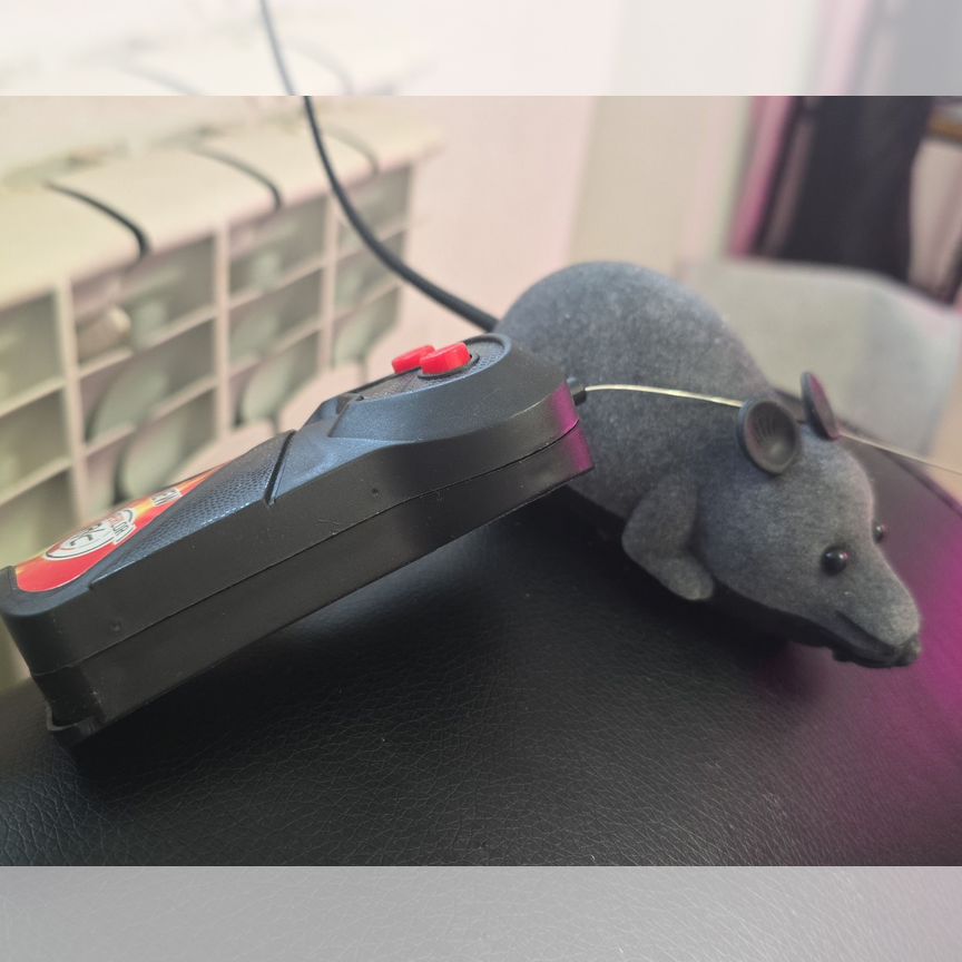 Мышь на радиоуправлении