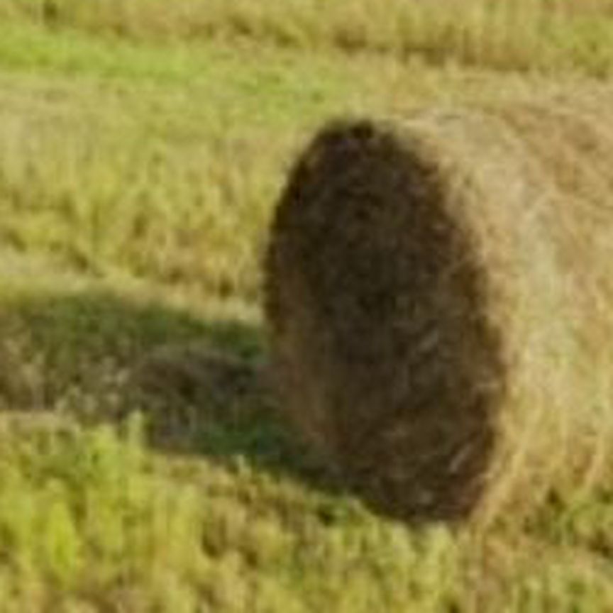 Продам сено в рулонах