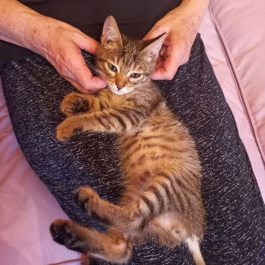 Чудесный малыш