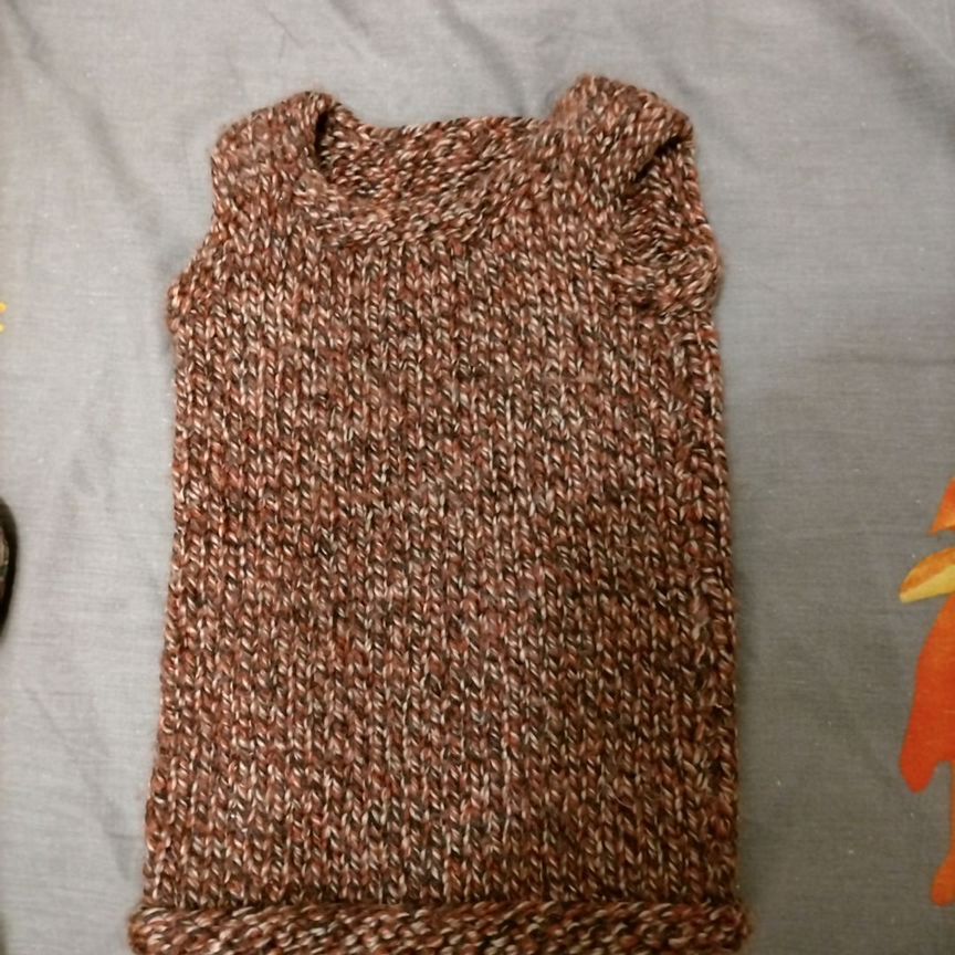 Одежда для животных