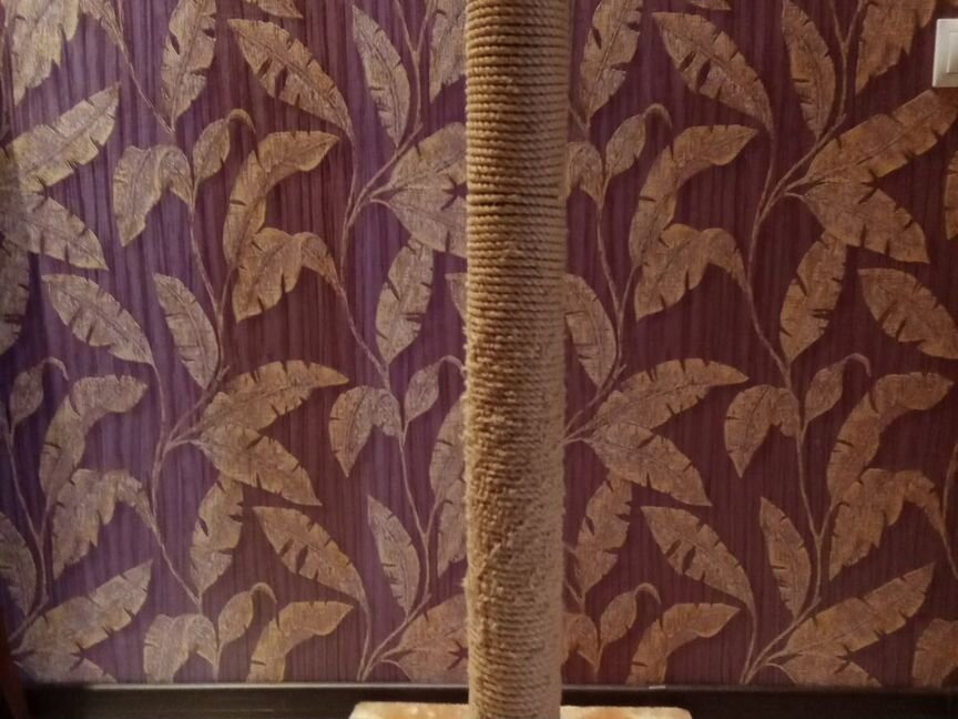 Когтеточка