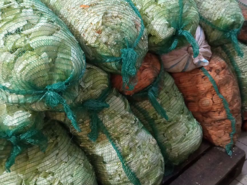 Отходы капусты, моркови