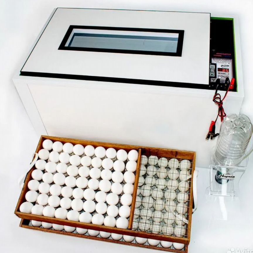 Инкубатор норма Урал на 200 яиц