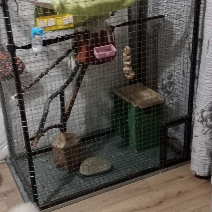 Клетка для животных бу