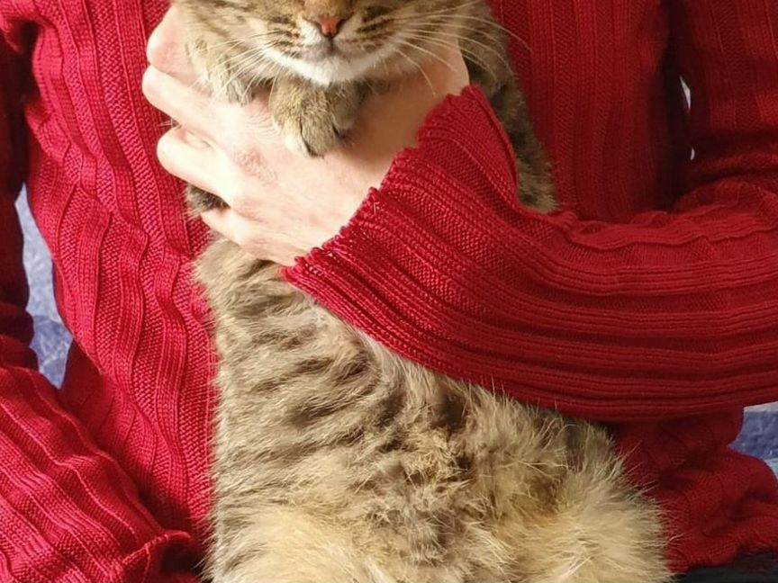 Мальчишка- атаман 3 мес