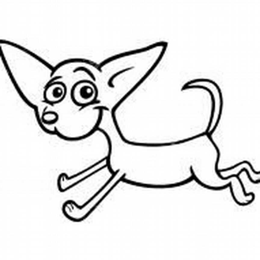 Собака маленькая порода