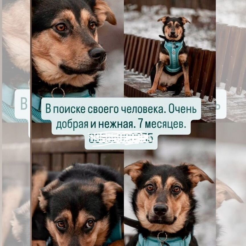 Добрая и нежная малышка в надежные ручки