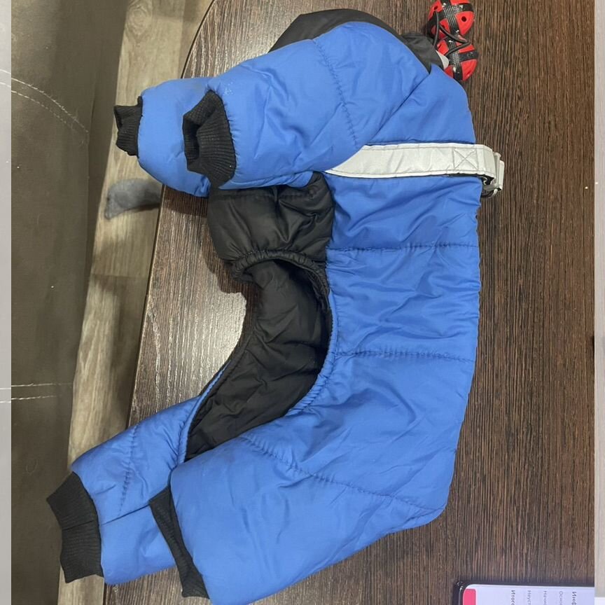 Одежда для собак