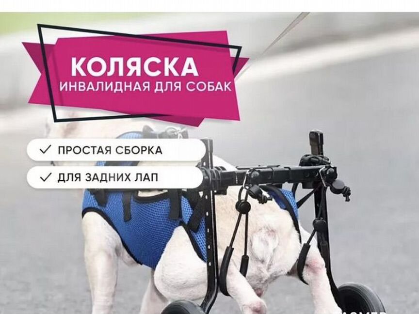 Инвалидная коляска для собак