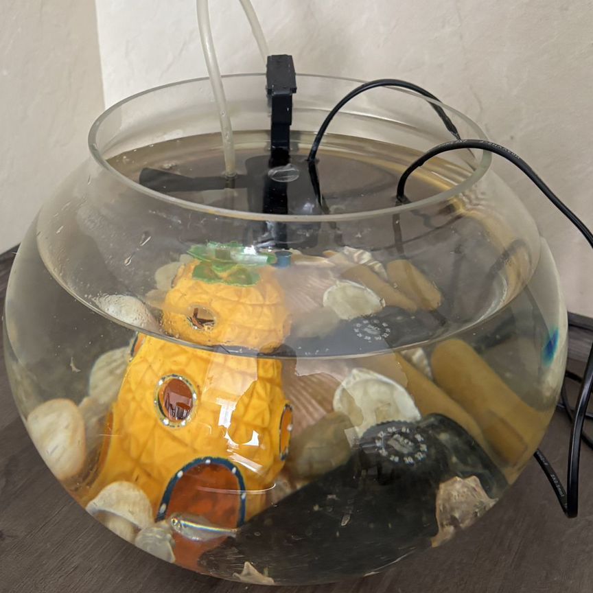 Аквариум круглый 10 литров