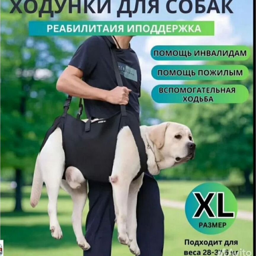 Ходунки для крупных собак