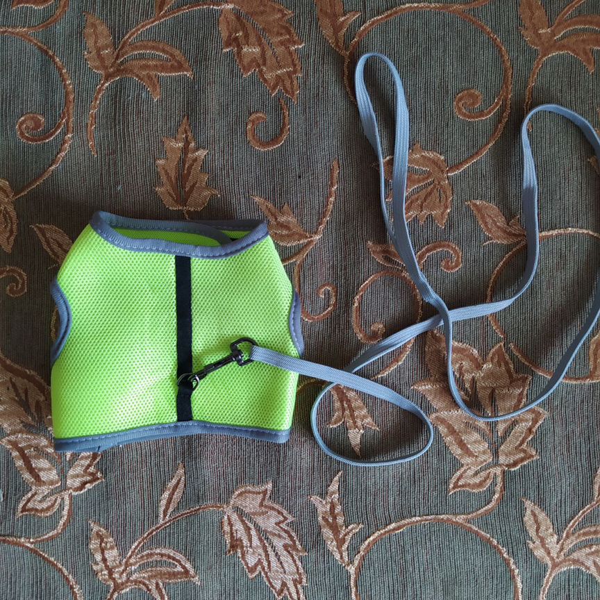 Шлейка для кошек и грызунов