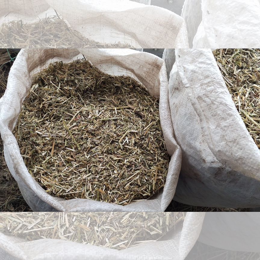 Сено в мешках измельчонное