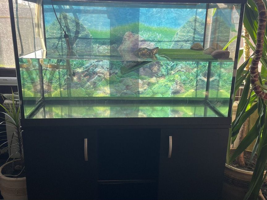 Аквариум с черепахой 350 литров