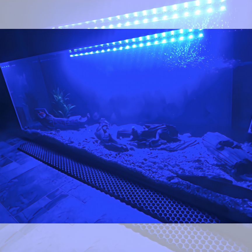 Аквариум с рыбами