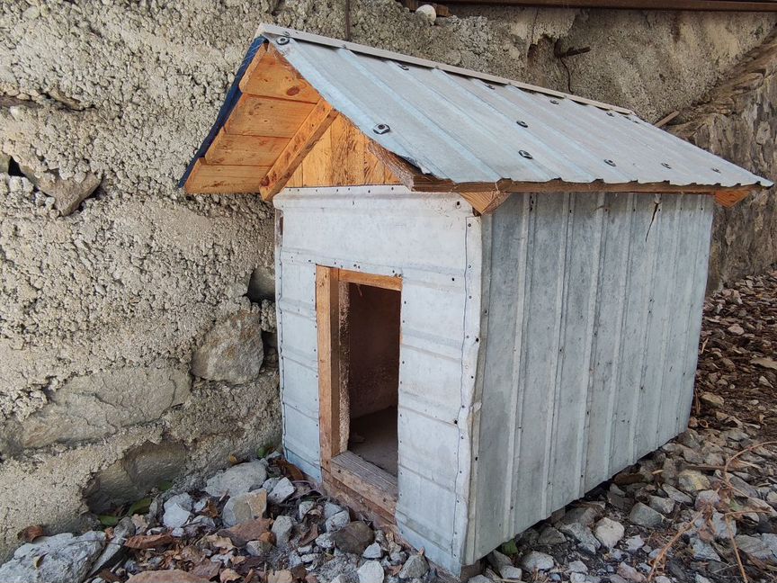 Собачья будеа