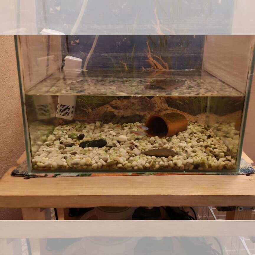 Аквариум с рыбками и тумбой