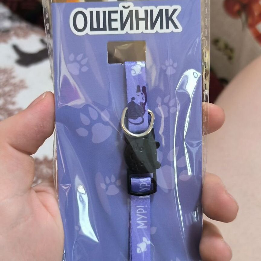 4 ошейника для котов