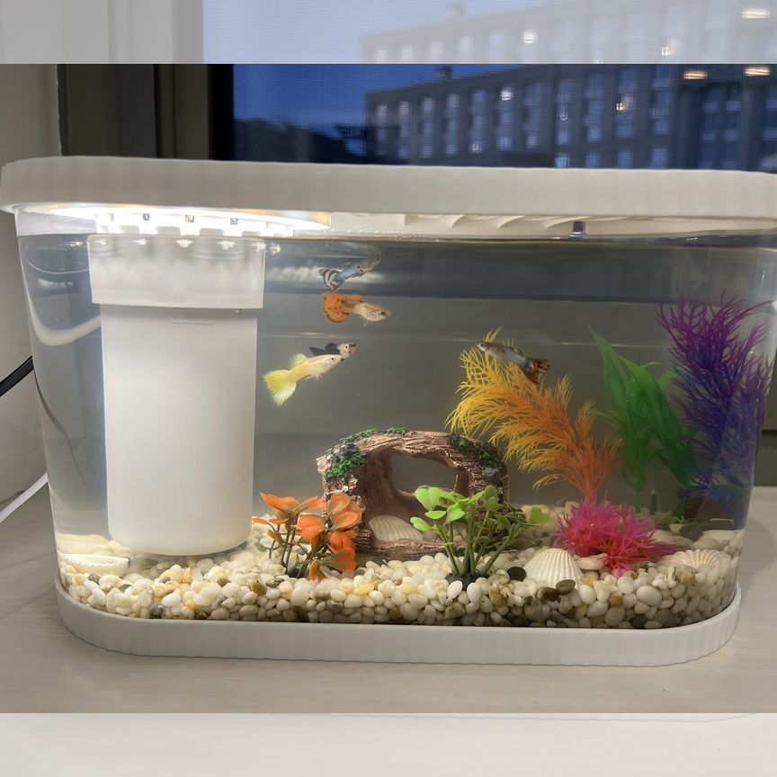 Аквариум 4л готовый