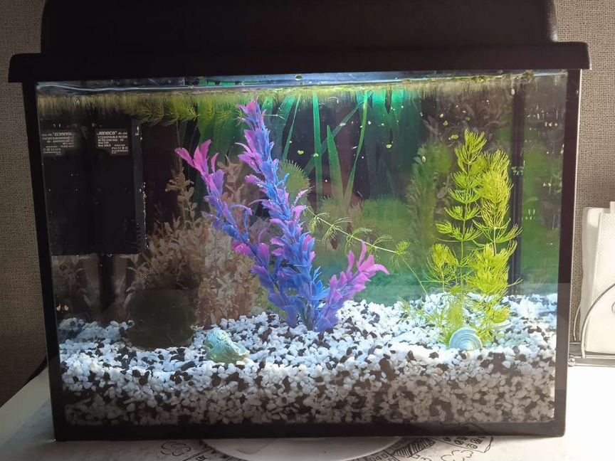 Готовый аквариум 15литров