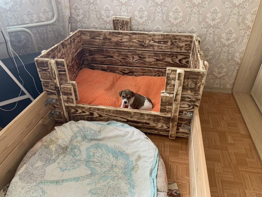 Вольер родильное место для собаки