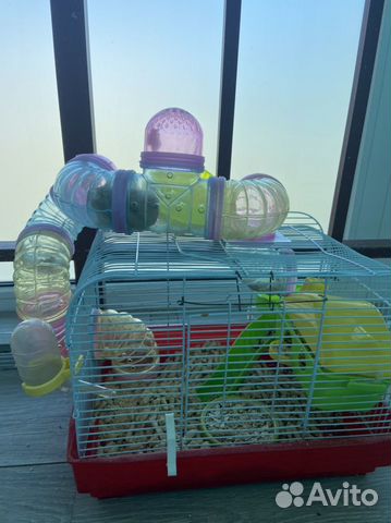 Джунгарский хомяк 2 шт и клетка