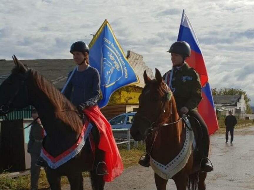 Украшение для лошади