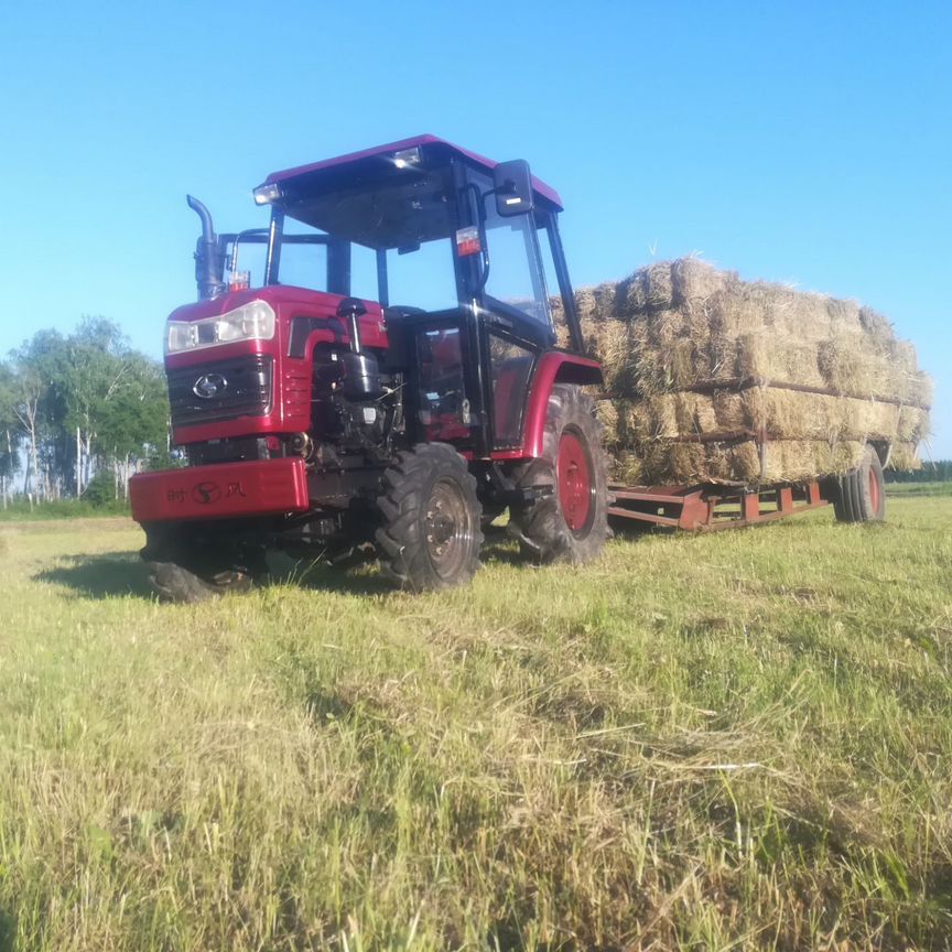 Сено в квадратных тюках