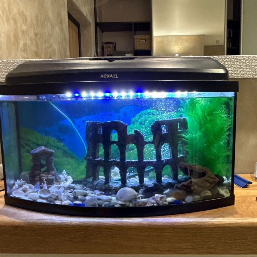 Аквариум 60 литров с крышкой и подсветкой б/у