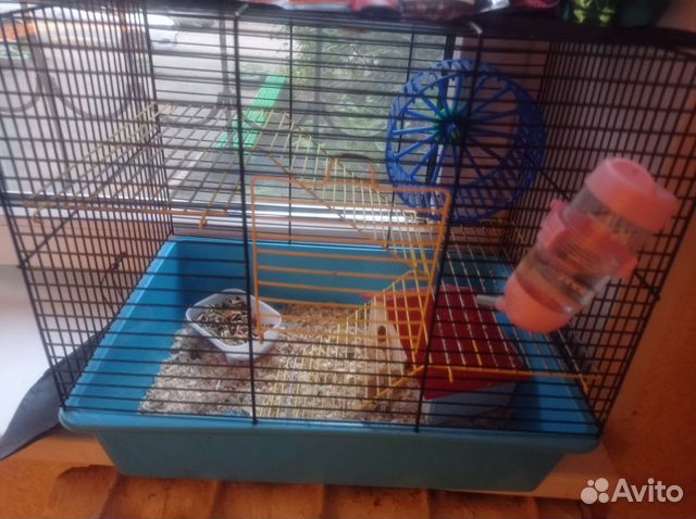 Клетка с джунгариком