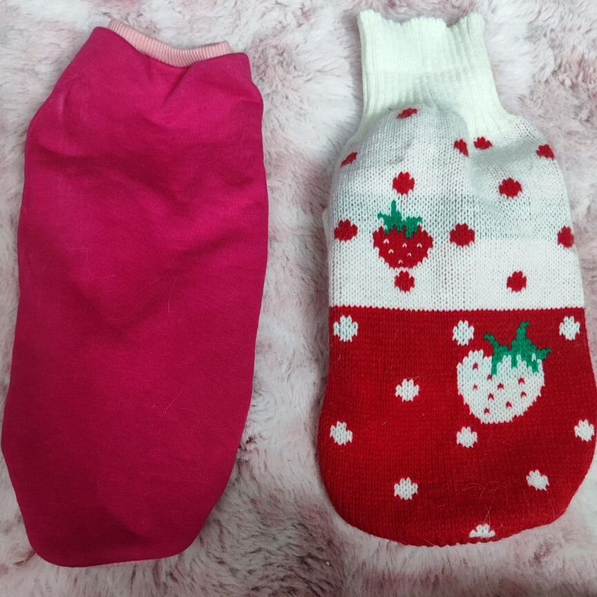Одежда для кошки сфинкса и мелких собак