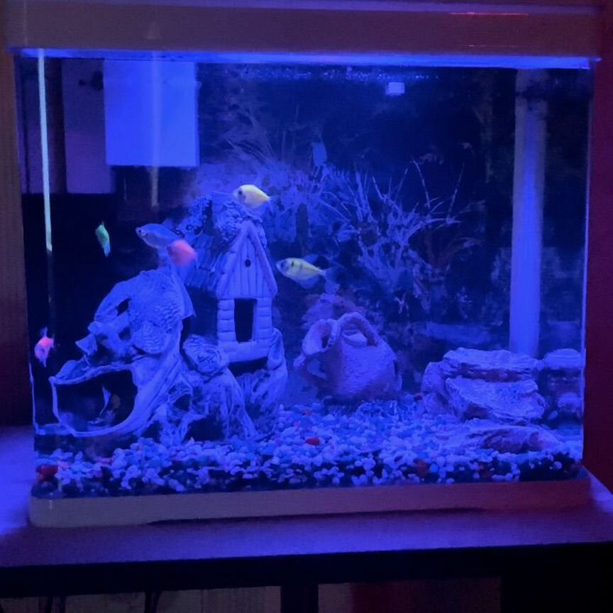 Аквариум prime 15л