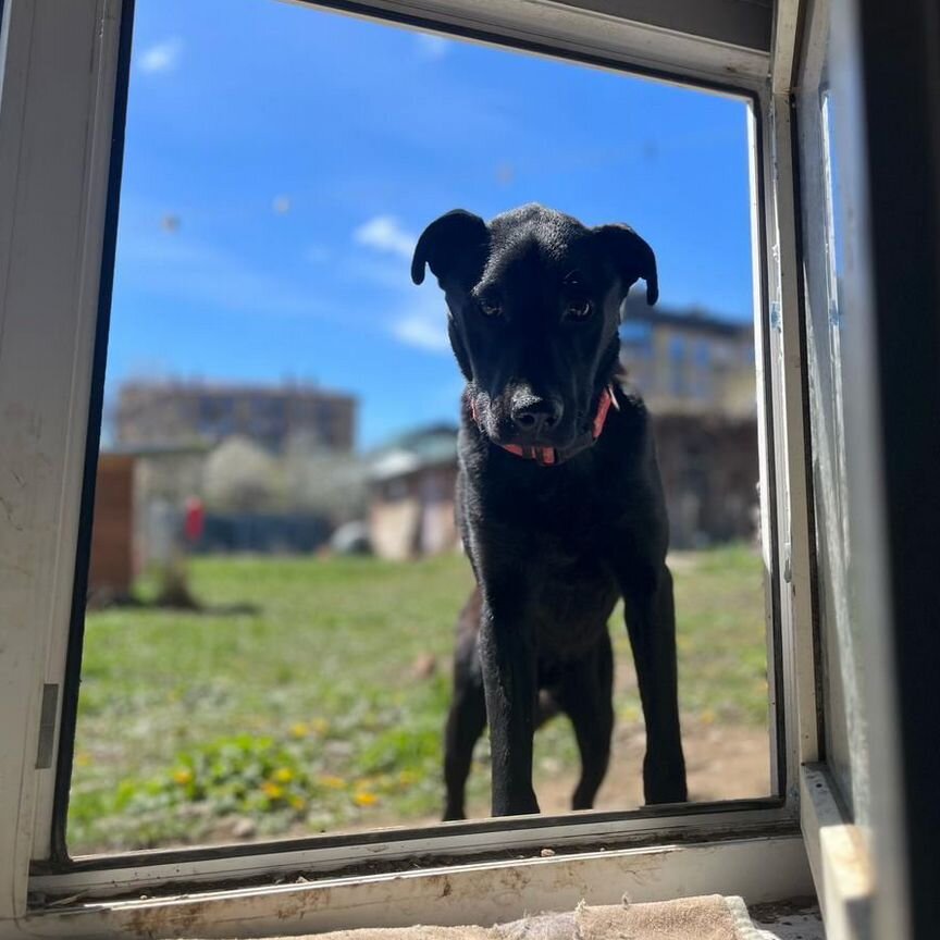 Барри ищет дом