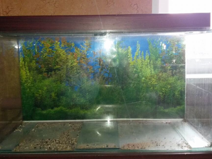 Аквариум 160 литров с биофильтром
