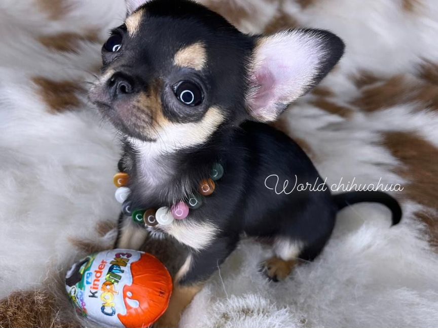 Эксклюзив Супер Мини Принцесса